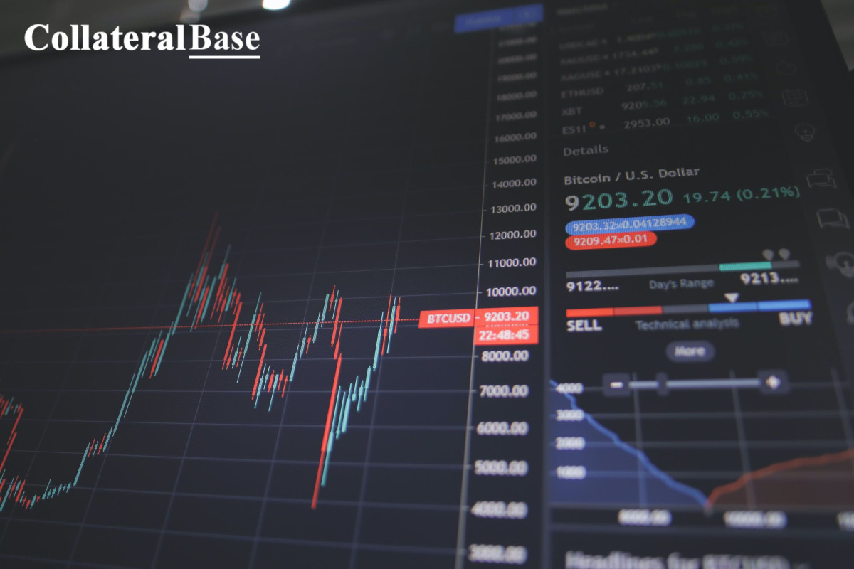 Stock Warrant Purchase Agreements - Collateral Base
