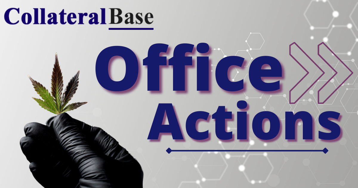 What Happens to your Trademark when it gets an Office Action